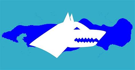 Gokturk Album On Imgur