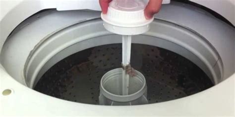 Como Limpar a Máquina de Lavar Roupas 4 Passos Simples