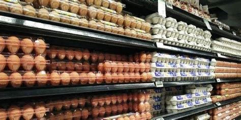 Prices Of Eggs Goes High After 25 Duty Imposed On The Commodity