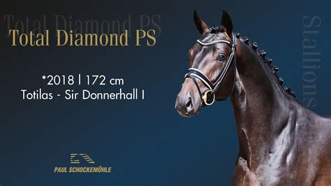 Total Diamond PS YouTube