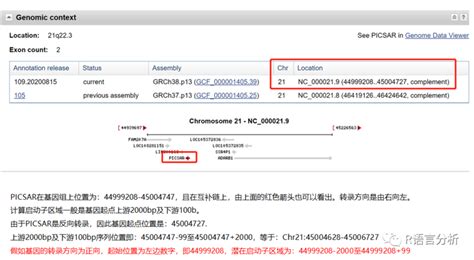 通过启动子序列预测转录因子使用教程 黄灿华教授 实验室