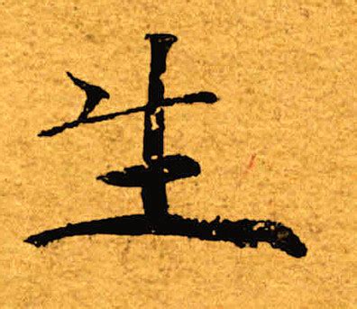生字楷书写法 生楷书怎么写好看 生书法图片 词典网