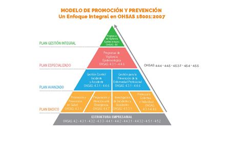 Sgsst Cronograma De Actividades Salud Y Seguridad Seg Vrogue Co