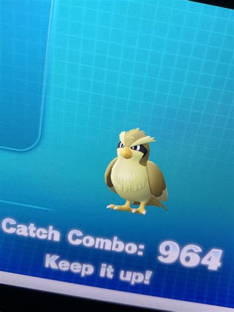 Found Shiny Pidgey Finally R Pokemonletsgo