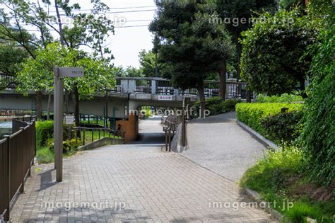 横十間川親水公園の写真素材 151138234 イメージマート