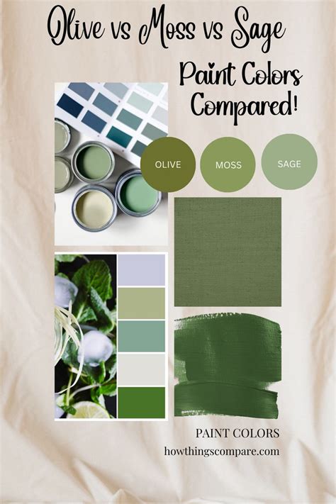 Green Paint Colors Compared Olive Vs Moss Vs Sage Green Paint Colors