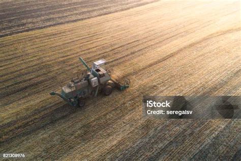 현장에서 일하는 수확기와 밀을 깍는다 우크라이나 공중 보기 가을에 대한 스톡 사진 및 기타 이미지 가을 곡초류 공중 뷰 Istock