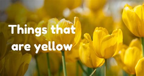 List Of Things That Are Yellow