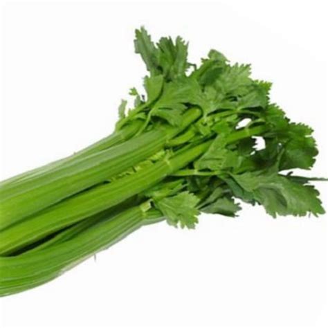 Celery Hybrid F1 Seeds Seed Shop