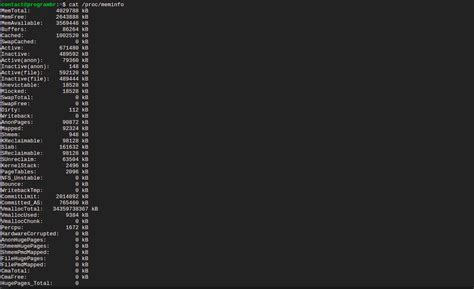 Commands To Check Memory Usage On Linux Ubuntu