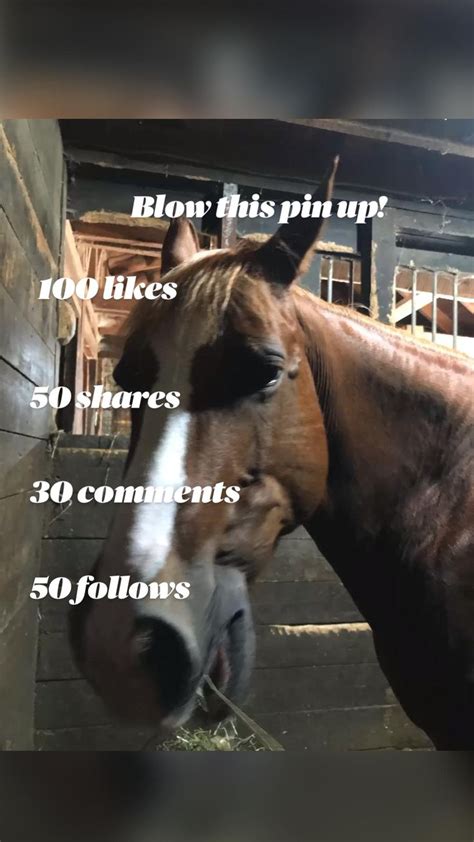 Blow This Pin Up Pin Up Blow Pin
