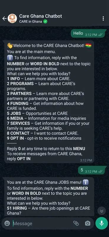 lessons learned in building sustainable and accessible chatbots care
