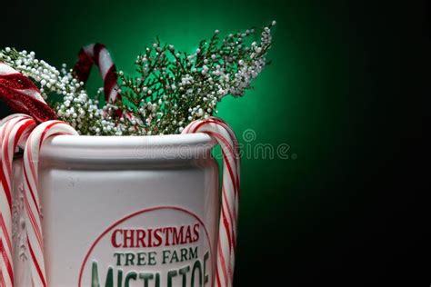 Spread Some Christmas Cheer Editorial Photo Image Of Mistletoe Cane