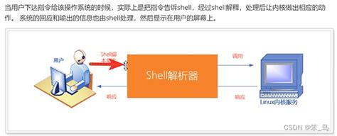 shell脚本入门 CSDN博客