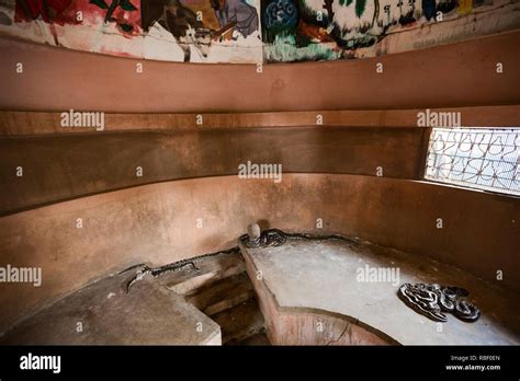Royal Python Temple Temple Des Pythons In Ouidah Benin Africa Stock