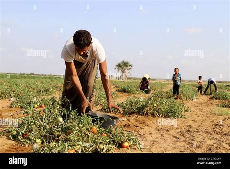 Hajjah Yemen February War And Siege Stop Hundreds Of