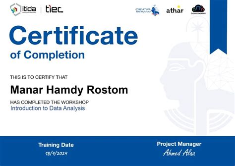 manar hamdy on linkedin dataanalysis certification newskills