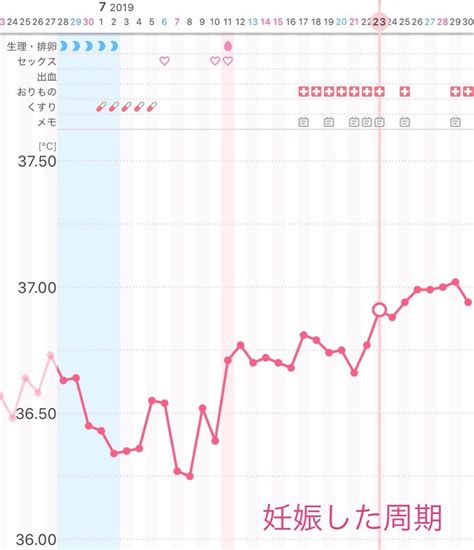 基礎 体温 下がる 妊娠 可能 性 🙃 基礎体温が下がったのに妊娠していた？実際の体験談 [ママリ]