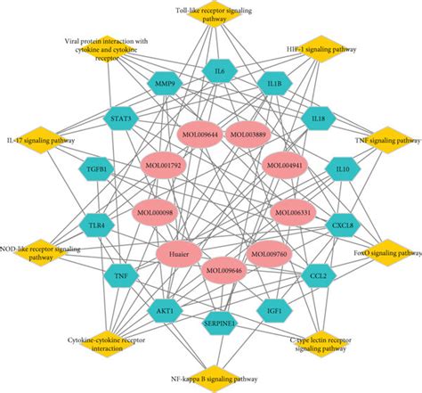 a ingredient target pathway network b ingredient target network
