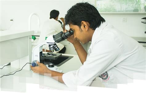 Bachelor Of Science Honours In Biomedical Science Kaatsu International University Kiu