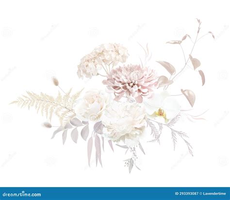 Boho Beige And Blush Trendy Vector Design Bouquet Pastel Pampas Grass
