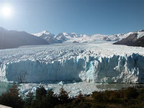 Bosque Templado Clima Polar
