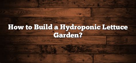 How To Build A Hydroponic Lettuce Garden Inter Culturalu