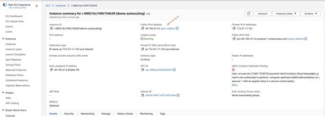 Guide To Aws Auto Scaling Cloudplexo Blog