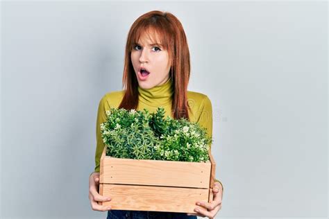 Redhead Young Woman Holding Wooden Plant Pot In Shock Face Looking