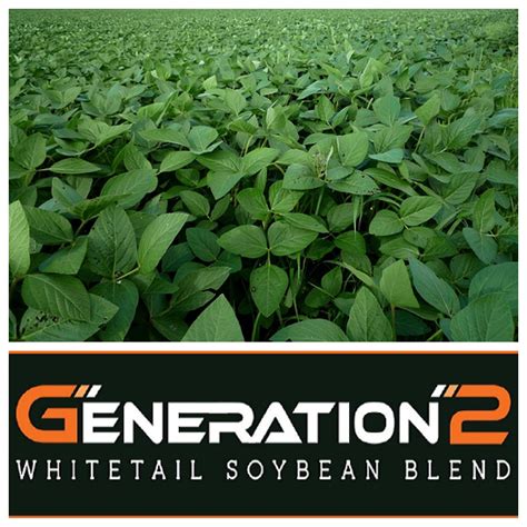 Rwwp Generation 2 Whitetail Soybean Tuttle Creek Outdoors