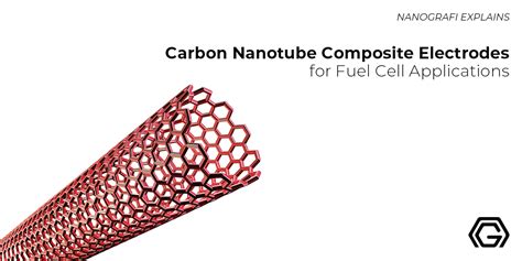 Carbon Nanotube Composite Electrodes For Fuel Cell Applications Nanografi Advanced Materials