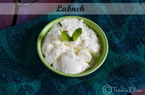 Labneh How To Make Labneh And Greek Yogurt Demystified Tomato Blues