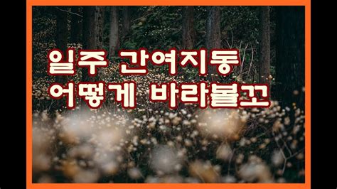 일주 간여지동 어떻게 바라볼꼬 Youtube