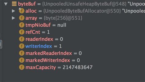 Netty源码分析系列——bytebufandunpooledbytebuf Csdn博客