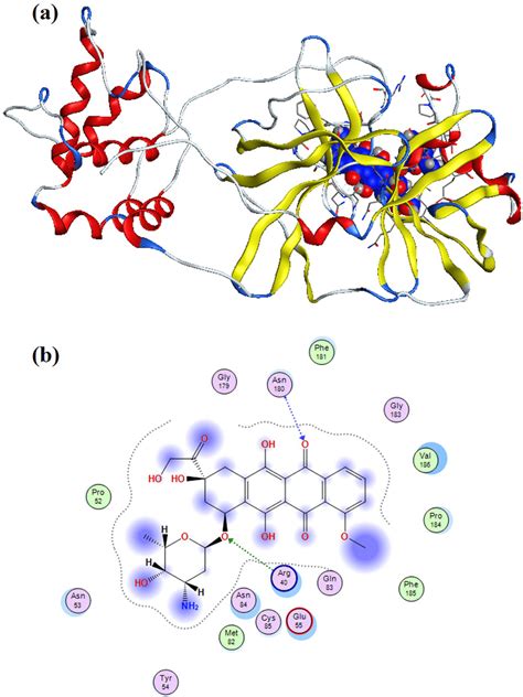 Molecular Docking Mode And Interaction For The Dox With Breast