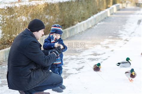 冬天喂鸭子的父子高清图片下载 正版图片507124354 摄图网