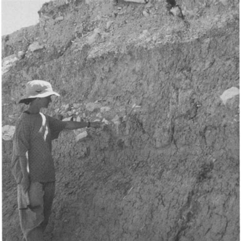 Wadi Ath Thamad Cut Bank Exposure With Layers Of Alluvial Deposits Download Scientific