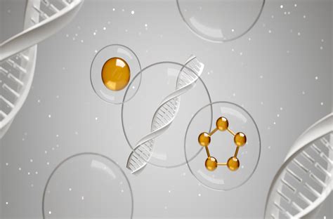 Phenyl Trimethicone Uses 7 Applications That Really Work