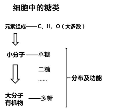 细胞中的糖类