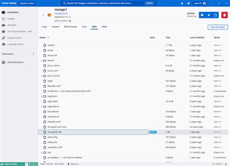 Docker Wsl2 Mongodb Replicaset 진행 시 Key 권한설정 Permissions On Etc