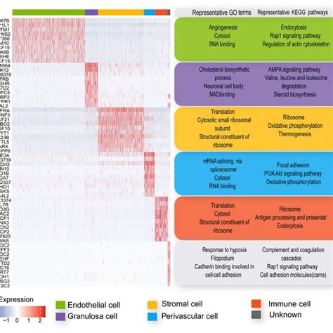 Comparison Of Differed Cell Type Expression Profiles Between Single And