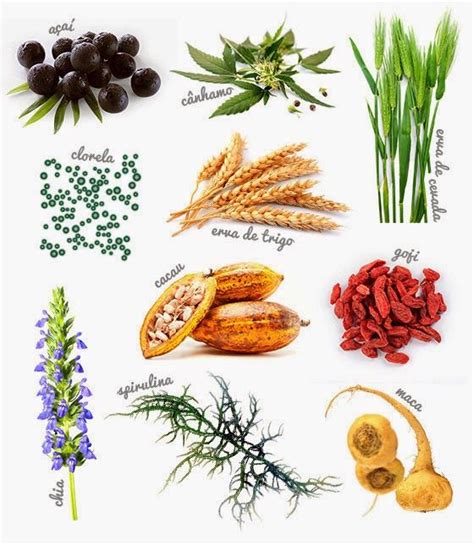 Meninices Superalimentos Quais Os Benefícios Para A Saúde