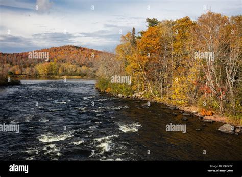 Fall Foliage Along The Androscoggin River Errol New Hampshire Stock