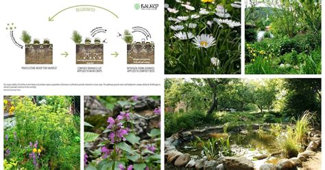 Balkan Ecology Project How To Grow Your Own Mulch