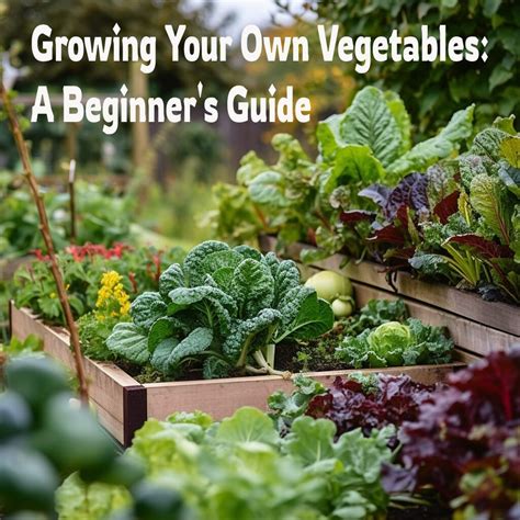 Growing Your Own Vegetables A Beginners Guide Agricultivity