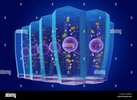 Simple Columnar Epithelium Illustration Stock Photo Alamy