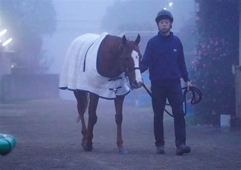 【高松宮記念】ナランフレグ再び“神騎乗”丸田自信 スポニチ競馬web