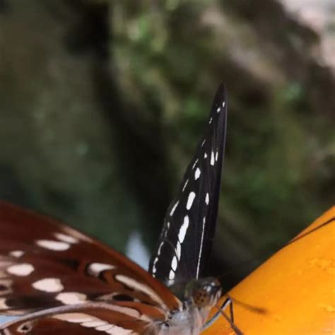 Xueping Li Tianjin University Tianjin Tju School Of Materials Science And Engineering