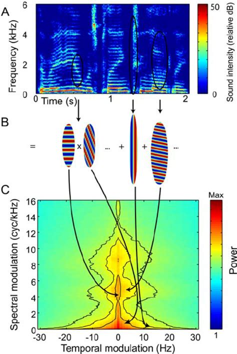 Component Spectrotemporal Modulations Make Up The Modulation Spectrum Download Scientific