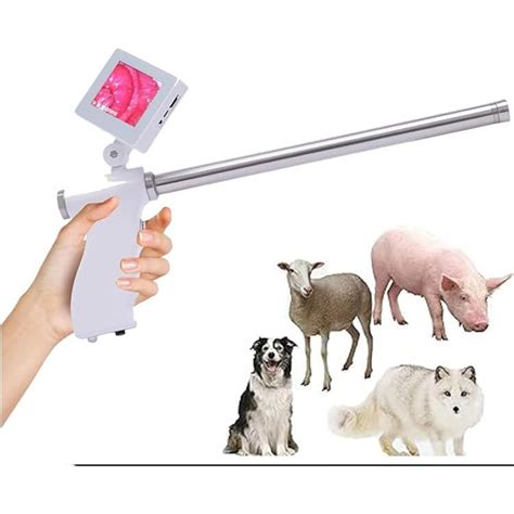 Lwjunmm Insemination Kits For Cows Cattlevisual India Ubuy